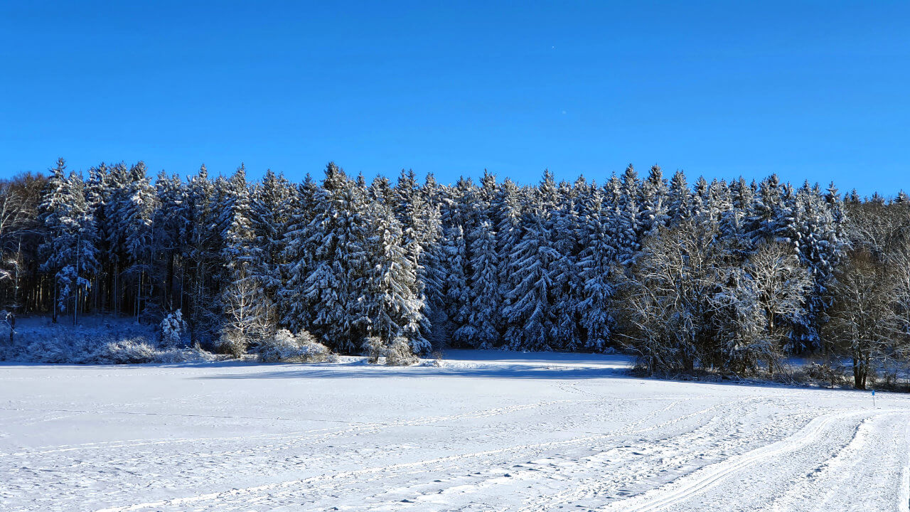 Spielt der Spätwinter mit dem Zusammenbruch des Polarwirbels in der ...