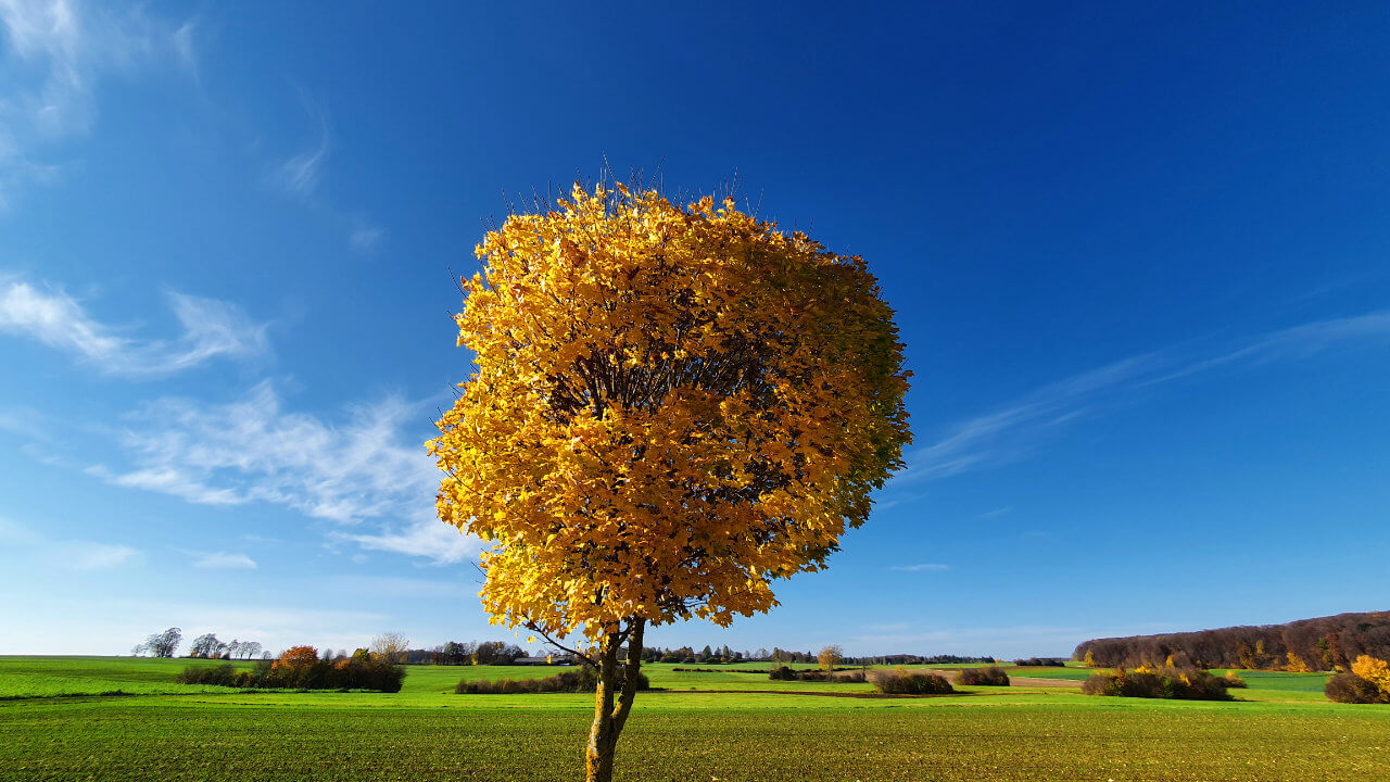 Wetteraussichten November: Nach dem Sturm kippt das Wetter